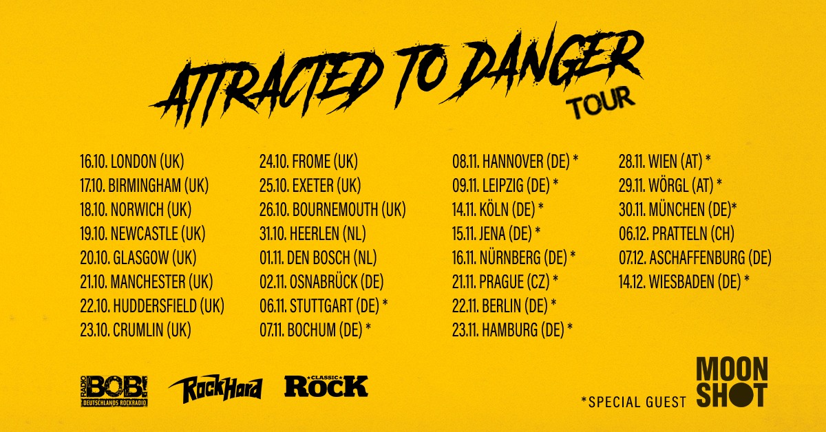 [Concert] – The New Roses – Black Diamonds – Z7 par le Doc ...