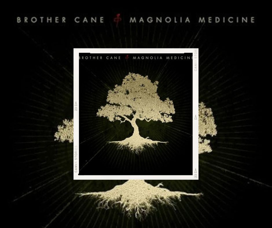 🔴 Brother Cane – nouvel album « Magnolia Medicine » Ecoutez « Higher ...